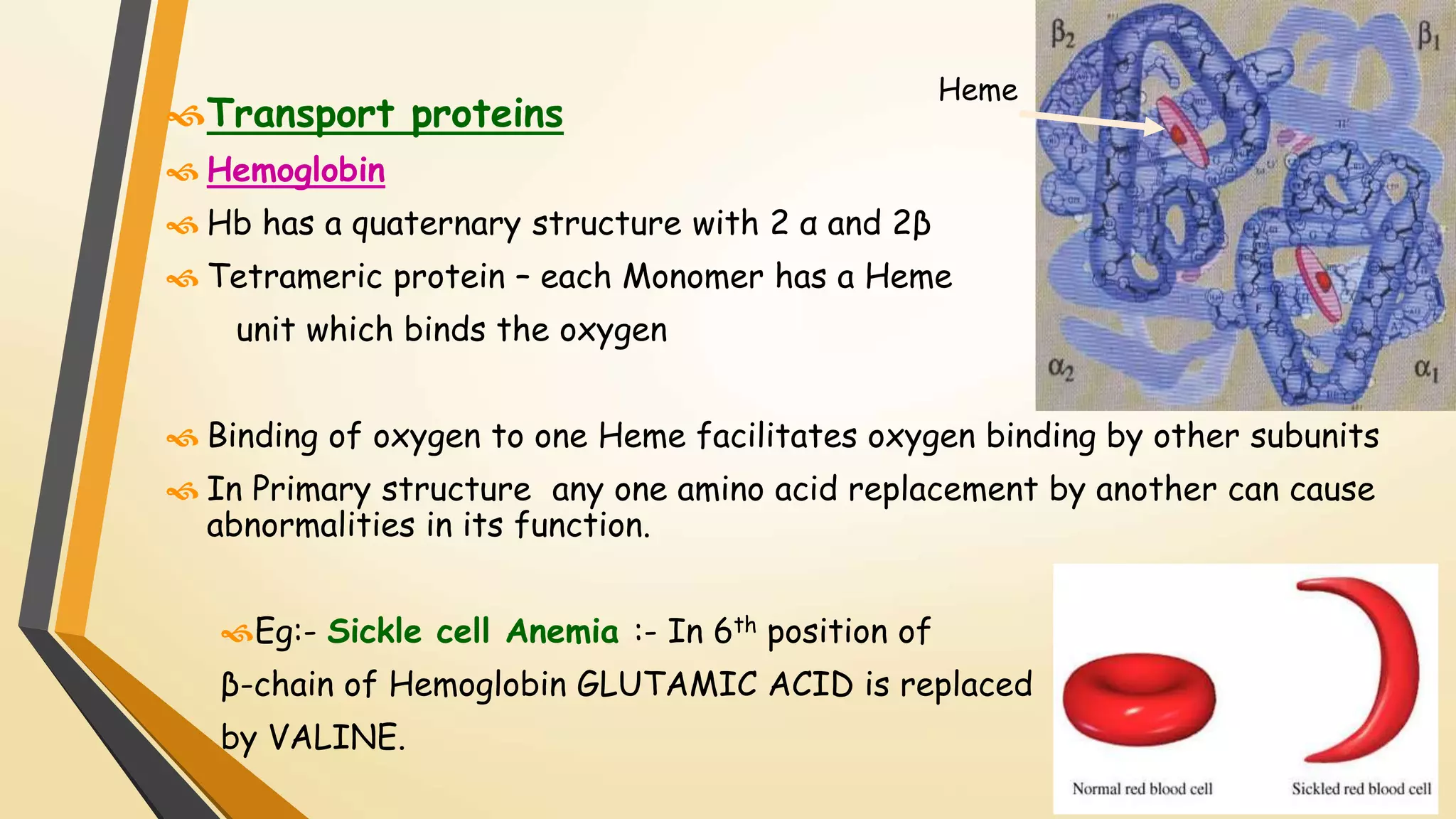 Protein structure | PPSX