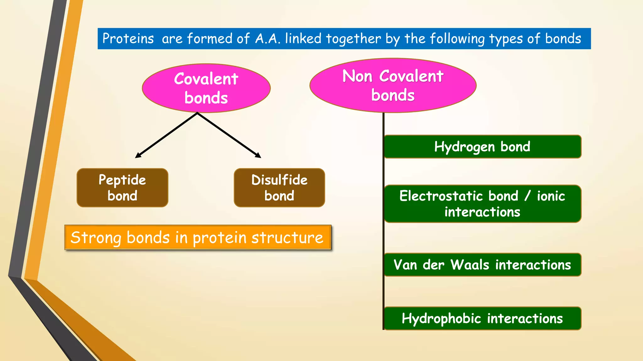 Protein structure | PPSX