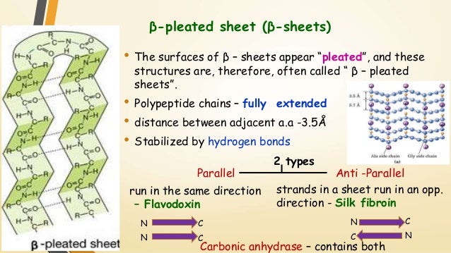 Protein structure