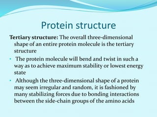 Protein structure | PPTX