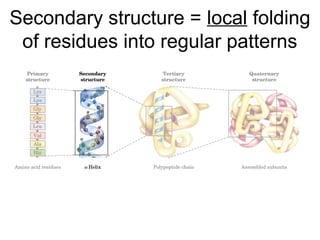 Protein structure | PPT
