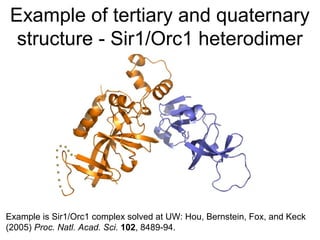 Protein structure | PPT