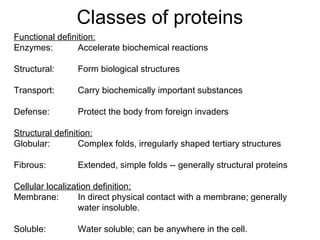 Protein structure | PPT