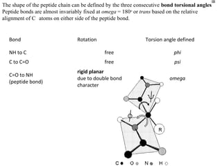 Protein structure | PPT