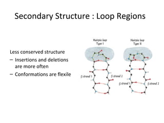 Protein structure | PPT