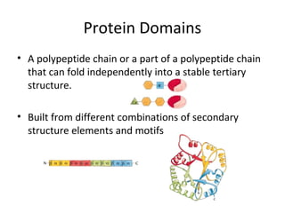 Protein structure | PPT | Chemistry | Science
