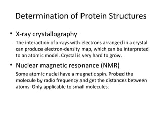 Protein structure | PPT