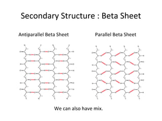 Beta Sheet Antiparallel Vs Parallel