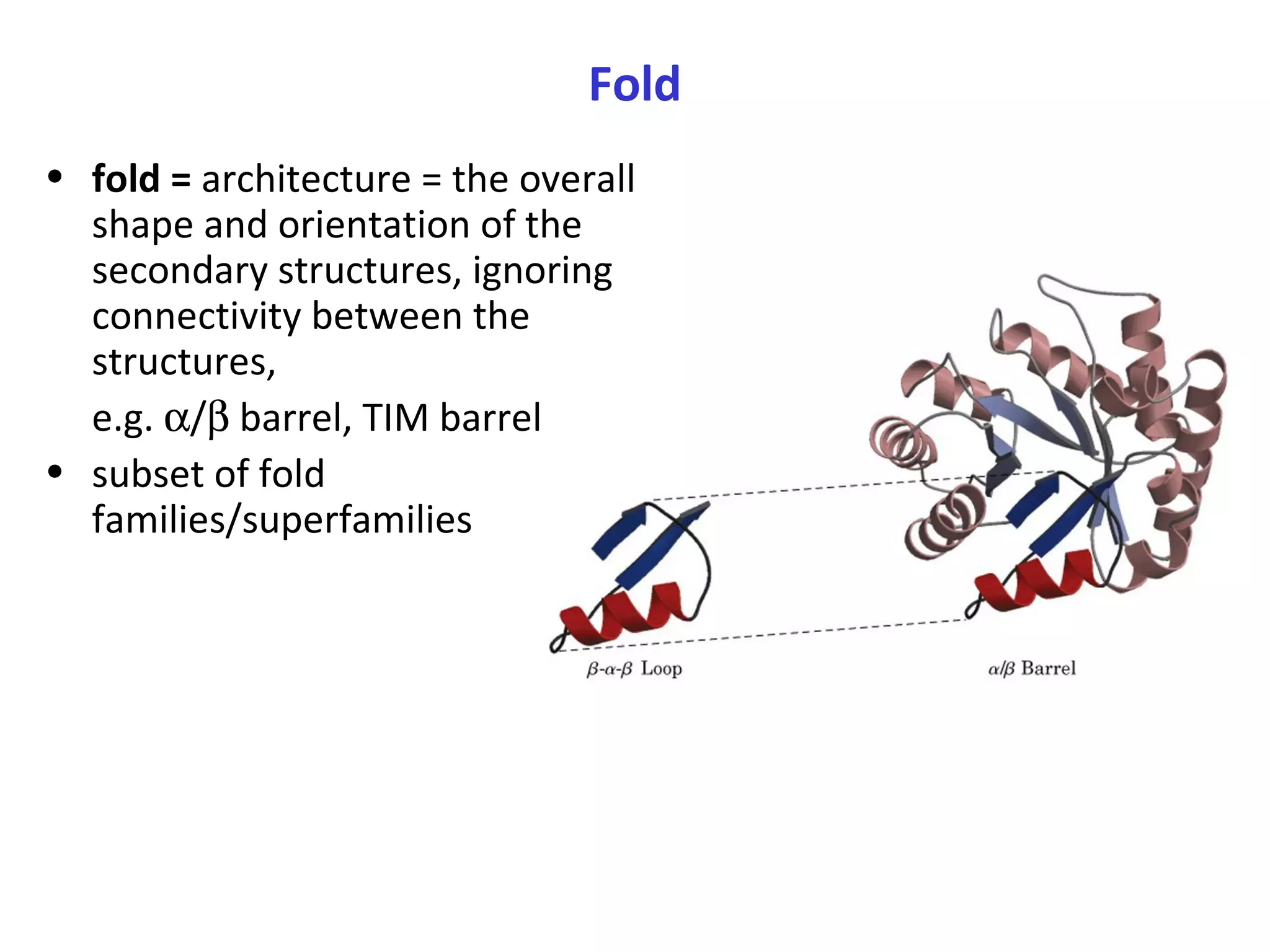 Protein structure | PPT | Chemistry | Science