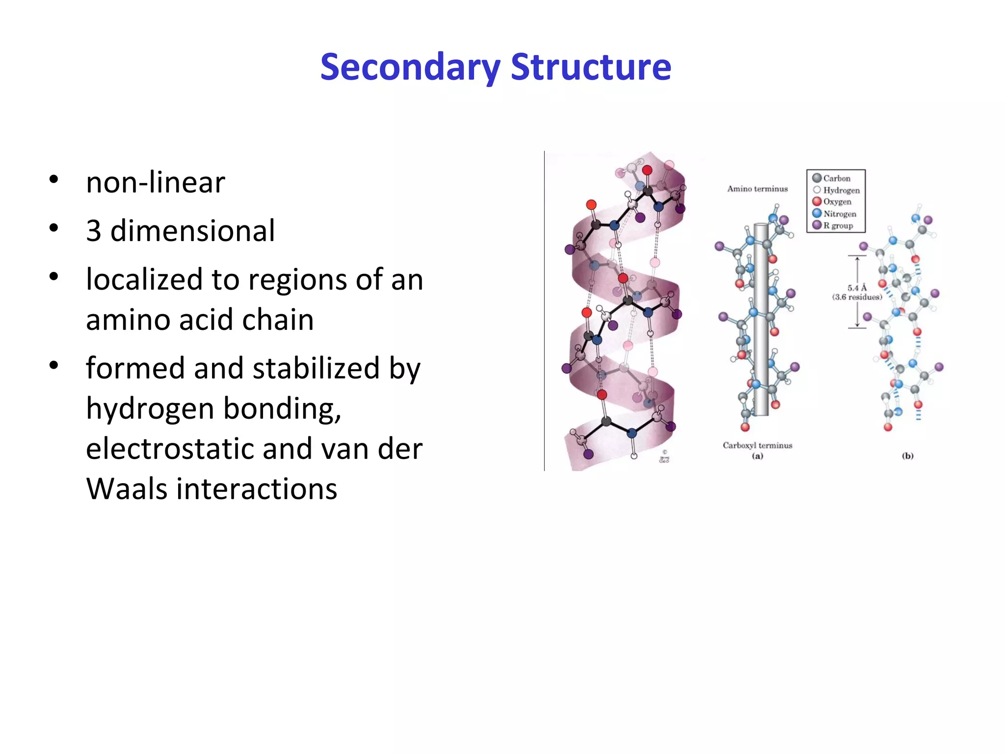 Protein structure | PPT | Chemistry | Science