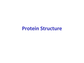 Protein structure | PPT