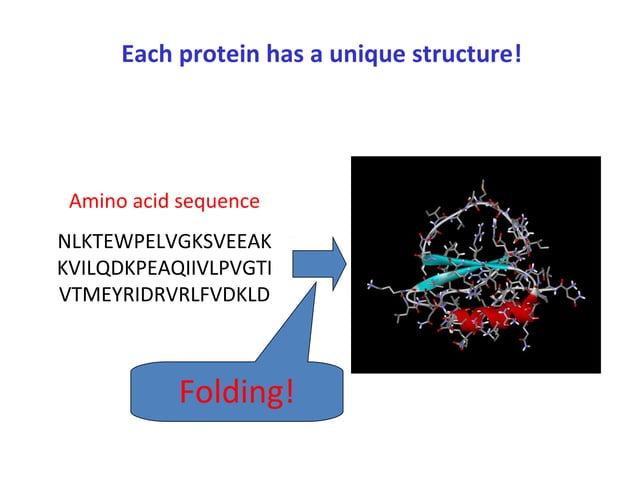 Protein structure | PPT