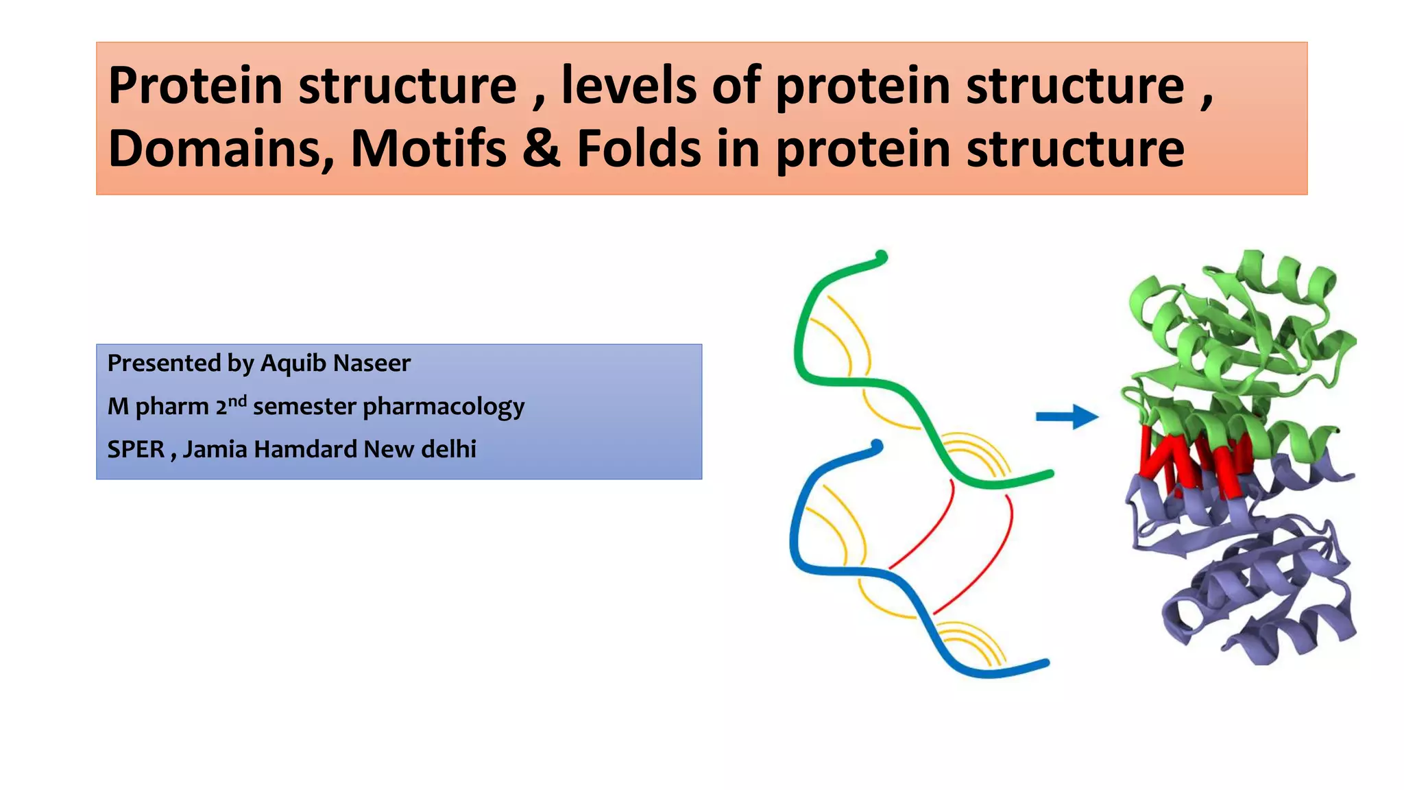 levels of protein structure , Domains ,motifs & Folds in protein ...