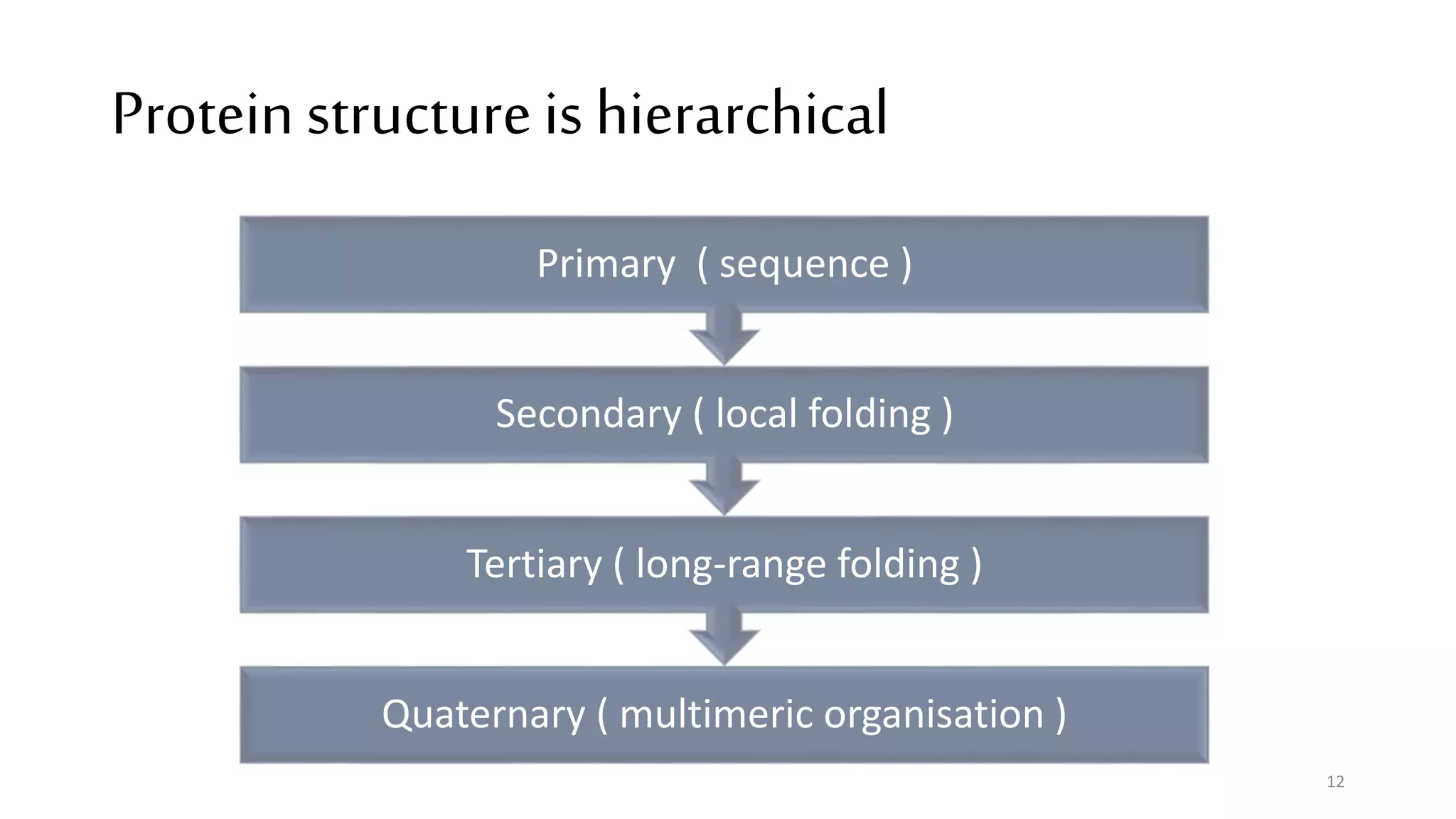 levels of protein structure , Domains ,motifs & Folds in protein ...