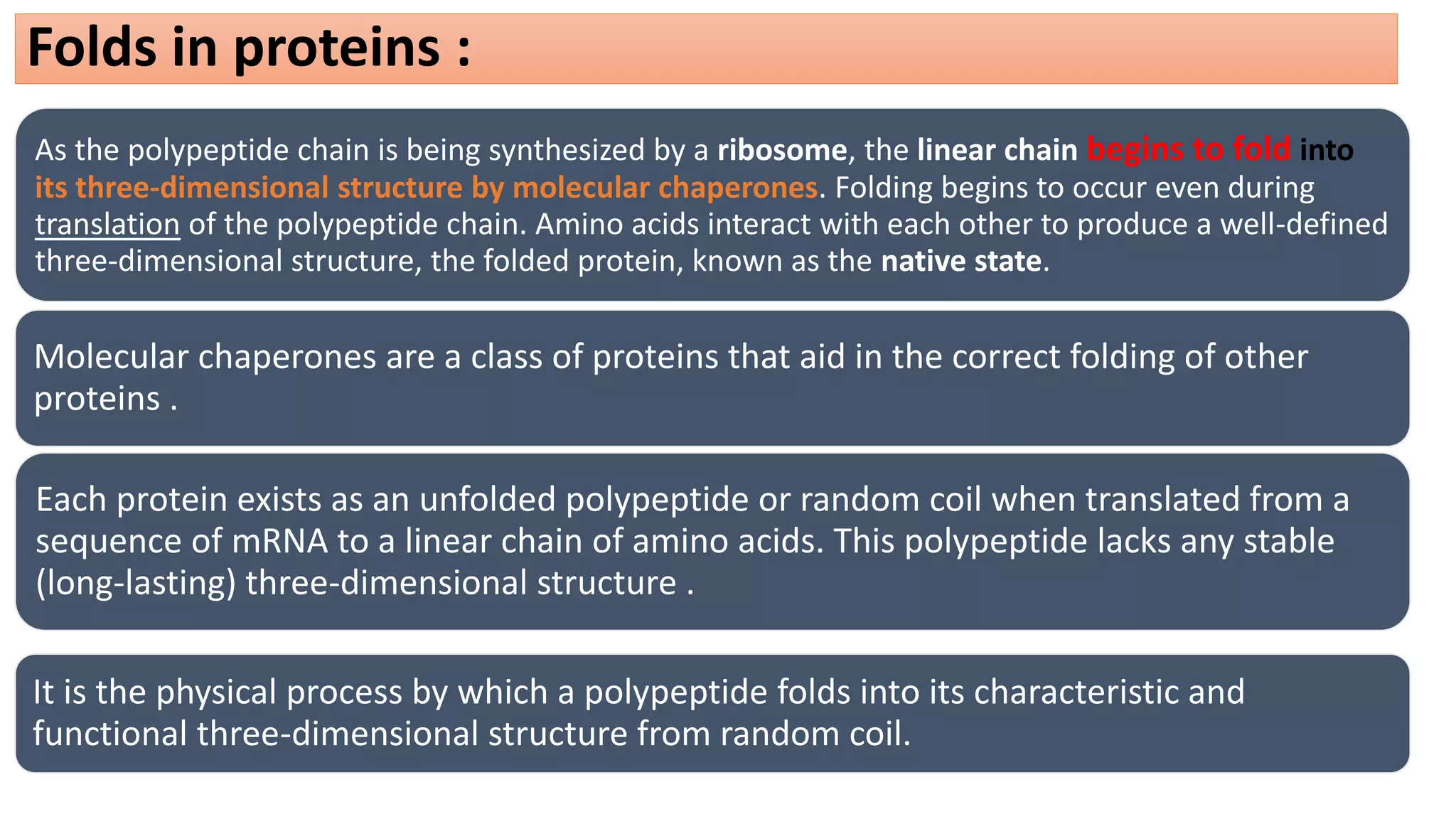 levels of protein structure , Domains ,motifs & Folds in protein ...