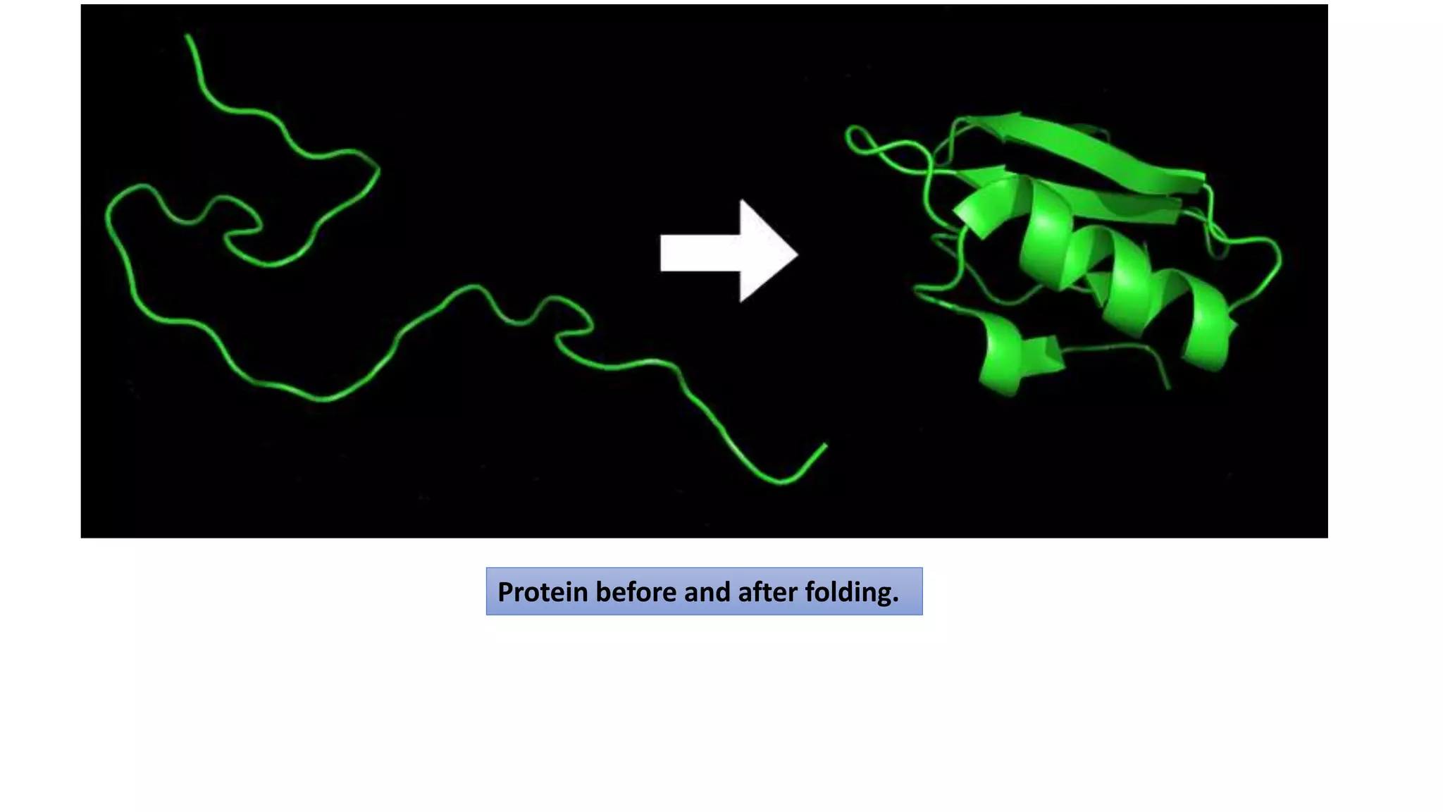 levels of protein structure , Domains ,motifs & Folds in protein ...