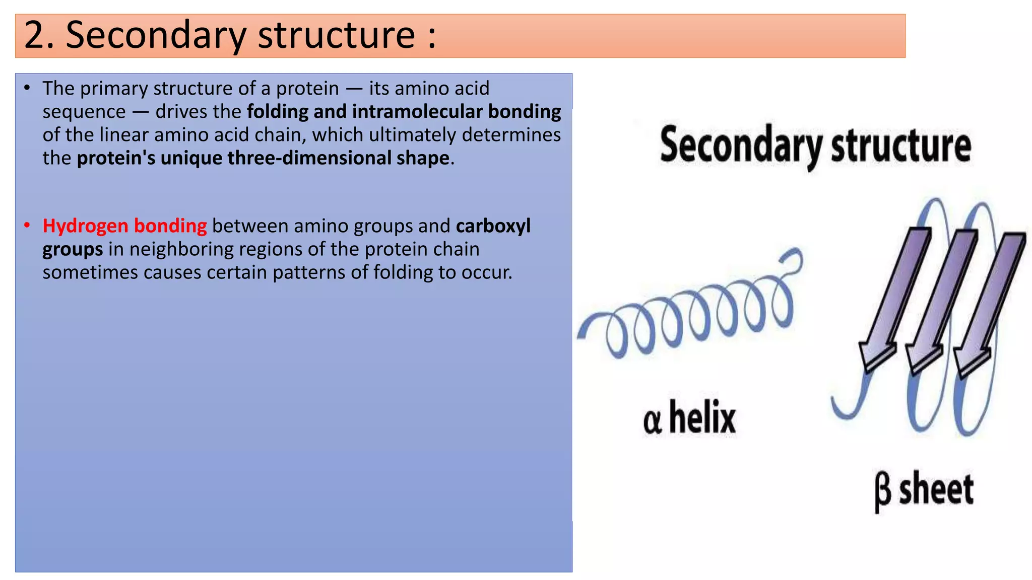 levels of protein structure , Domains ,motifs & Folds in protein ...