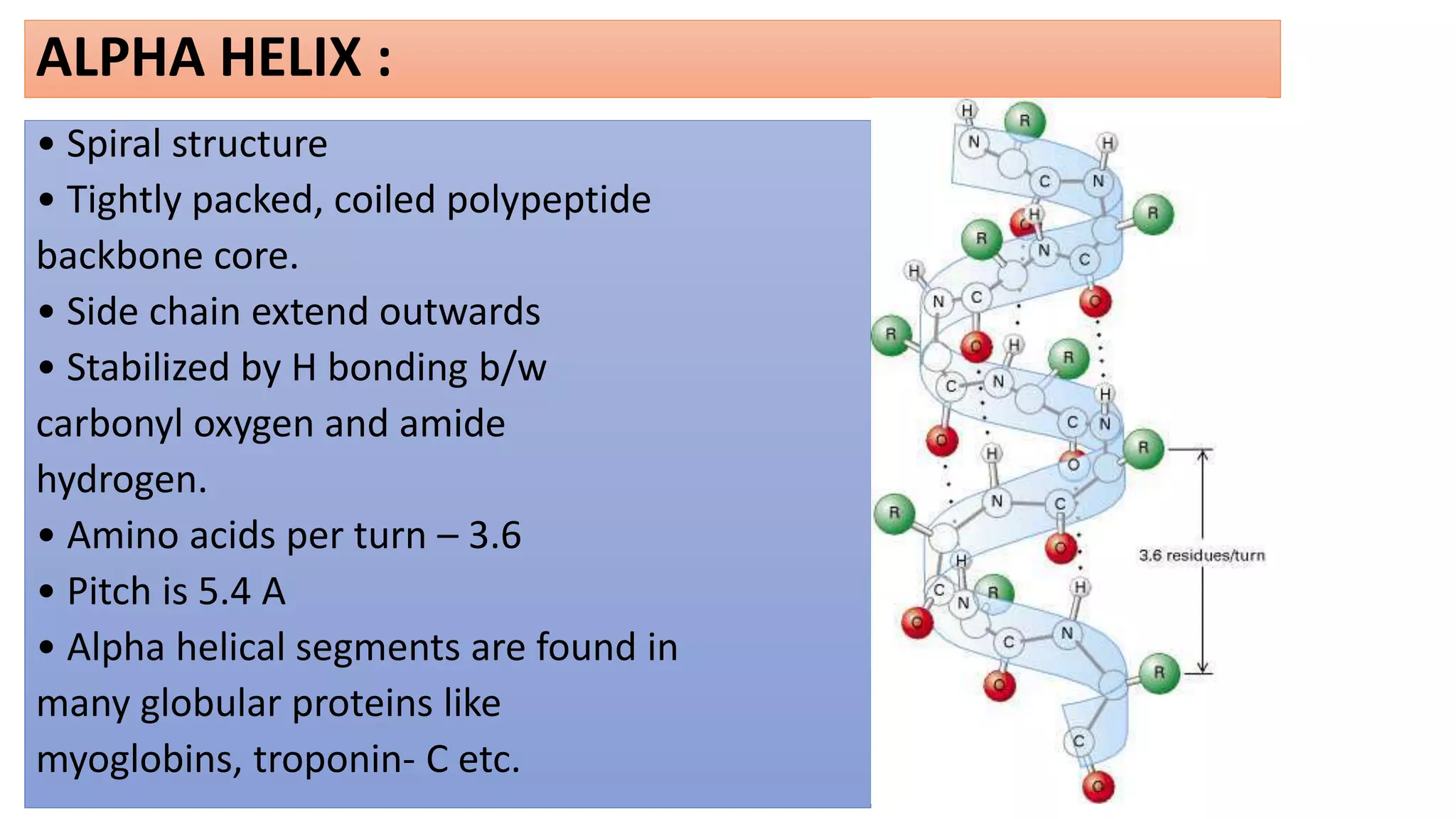 levels of protein structure , Domains ,motifs & Folds in protein ...