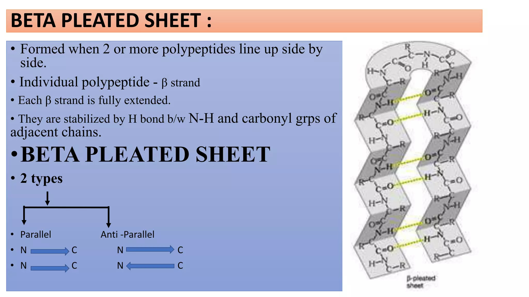 levels of protein structure , Domains ,motifs & Folds in protein ...