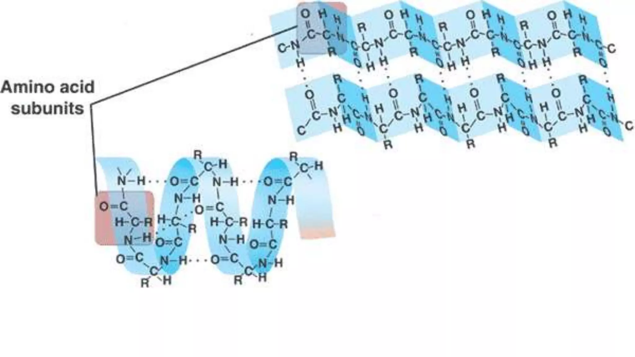 levels of protein structure , Domains ,motifs & Folds in protein ...