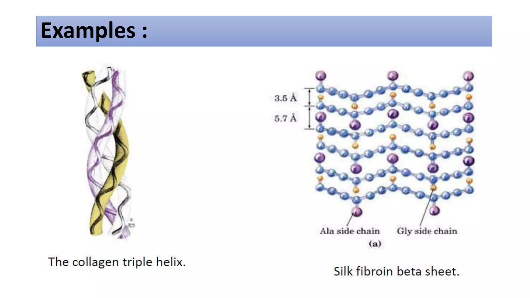 levels of protein structure , Domains ,motifs & Folds in protein ...
