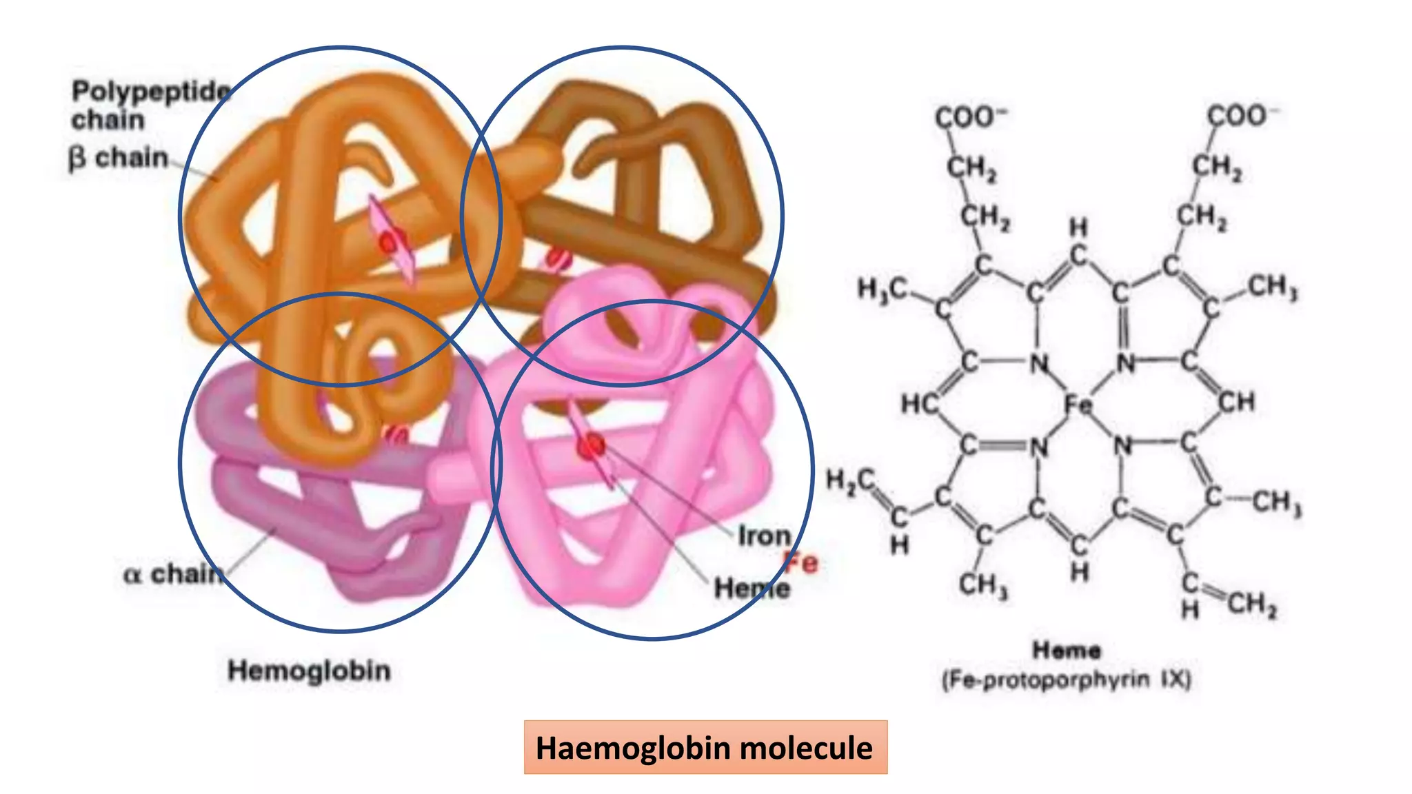 levels of protein structure , Domains ,motifs & Folds in protein ...