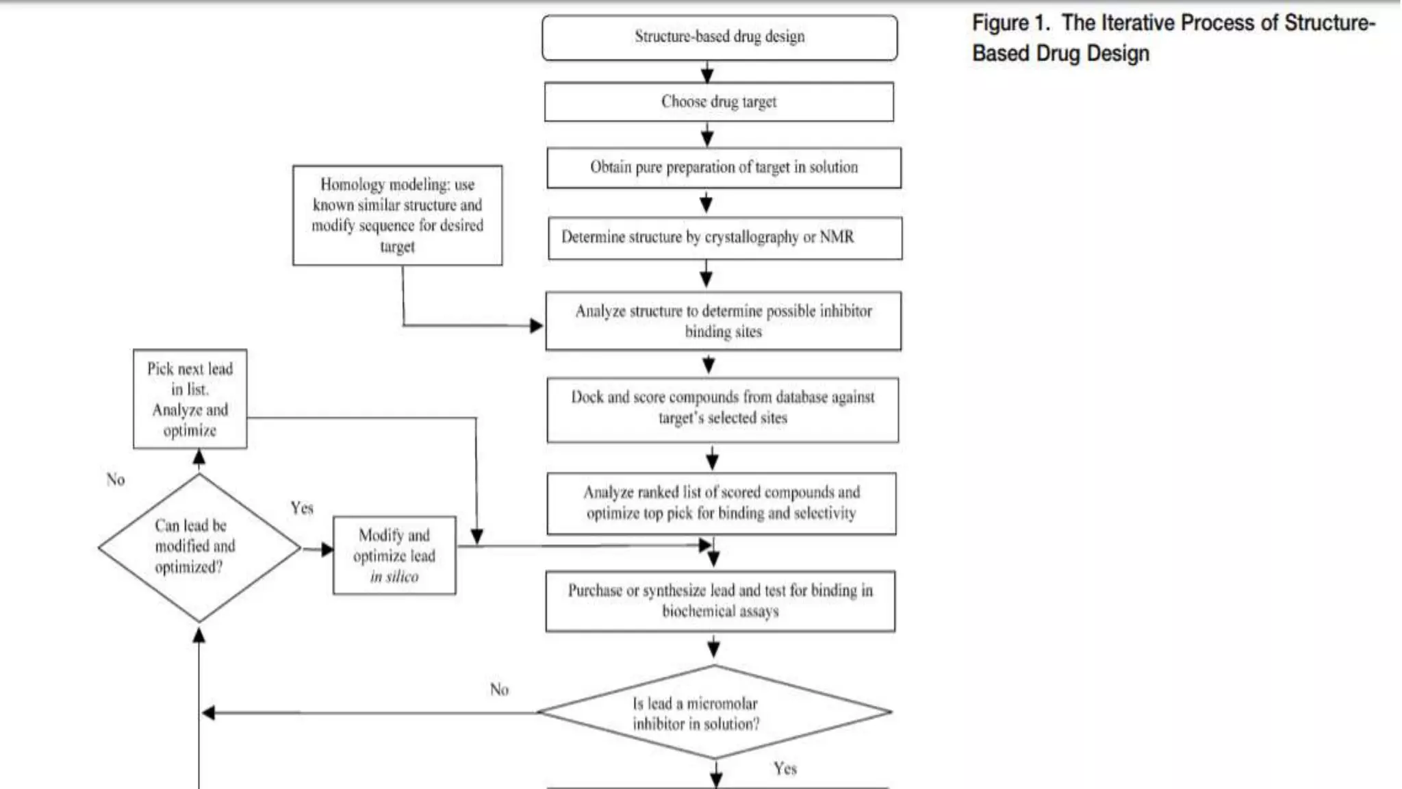 levels of protein structure , Domains ,motifs & Folds in protein ...