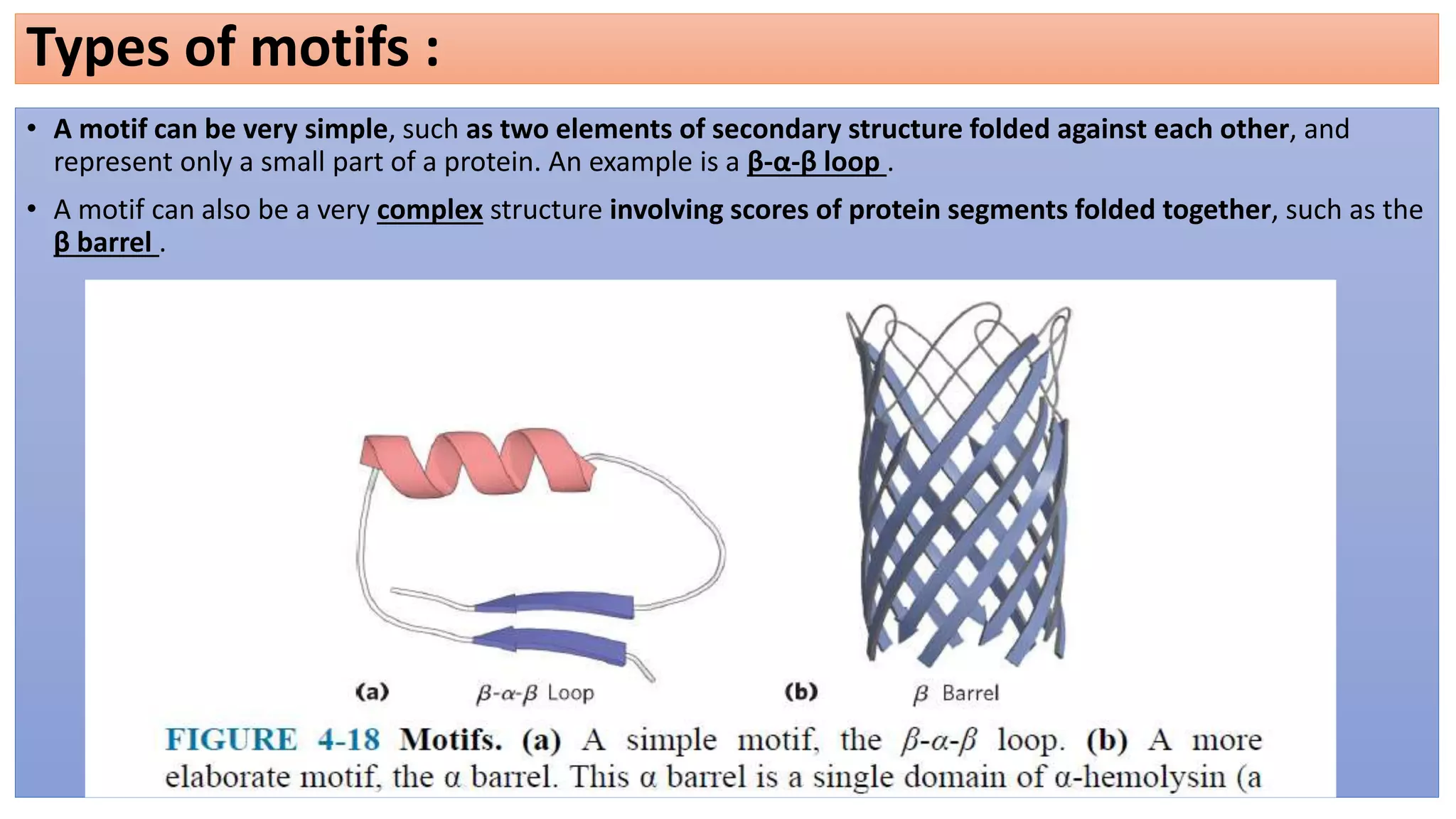 Levels Of Protein Structure Domains Motifs And Folds In Protein Structure Pptx