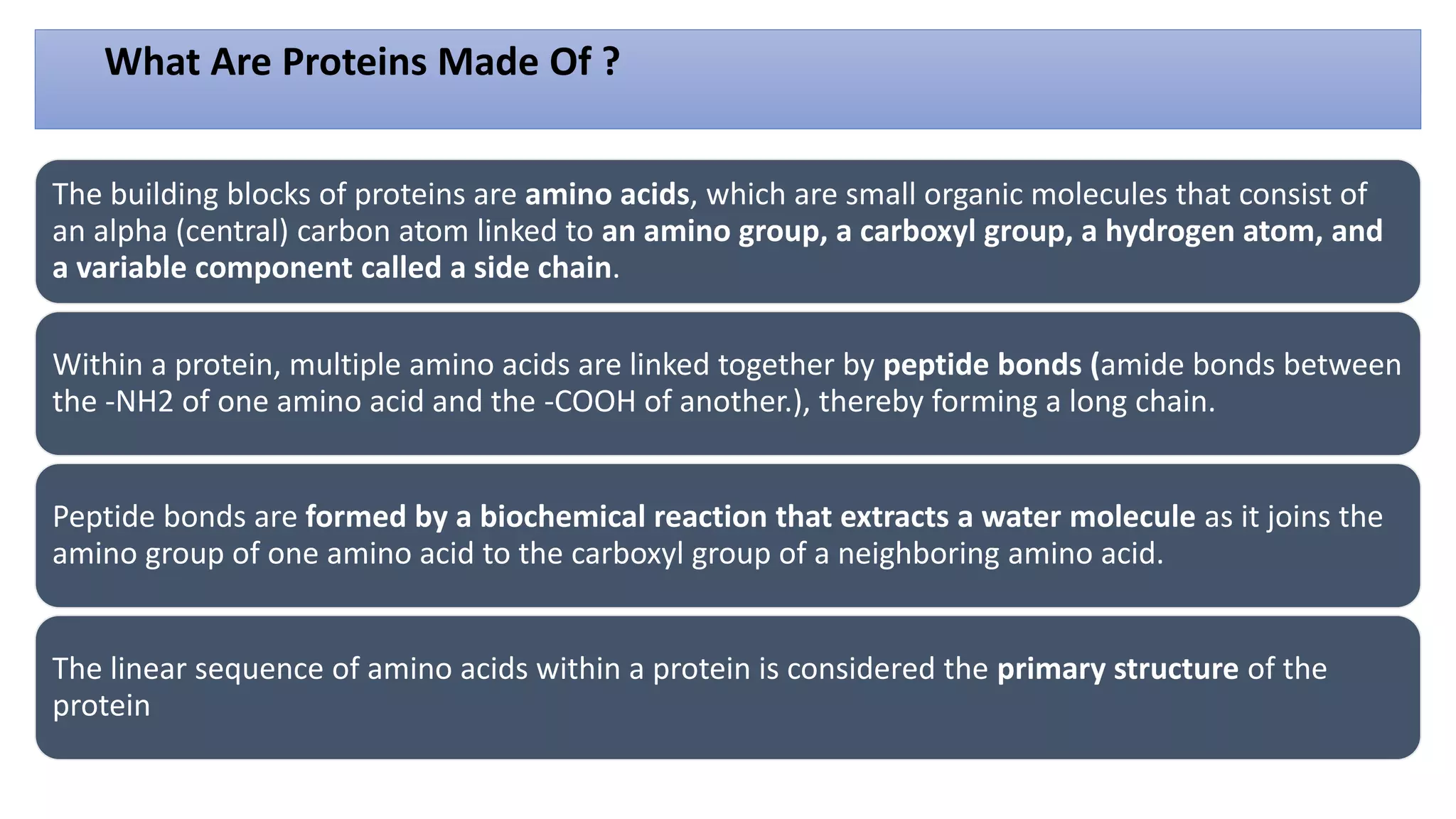 levels of protein structure , Domains ,motifs & Folds in protein ...