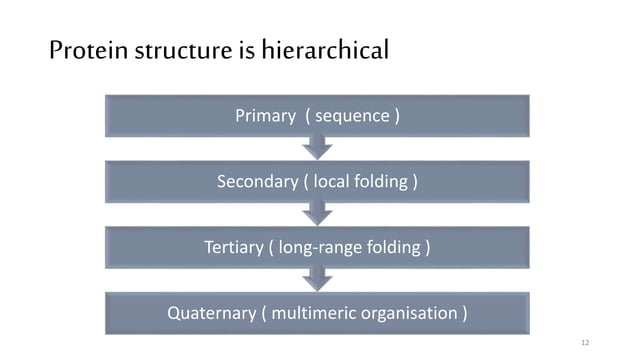 levels of protein structure , Domains ,motifs & Folds in protein ...