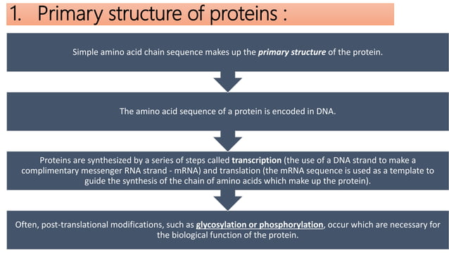 levels of protein structure , Domains ,motifs & Folds in protein ...