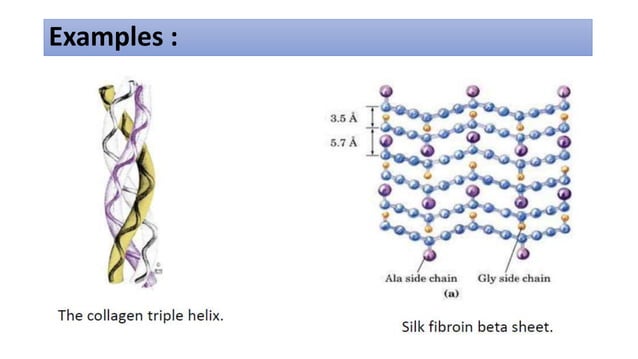 levels of protein structure , Domains ,motifs & Folds in protein ...