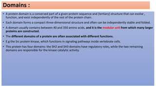 levels of protein structure , Domains ,motifs & Folds in protein ...