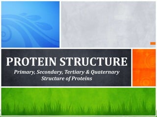 Protein structure | PPT