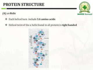Protein structure | PPT