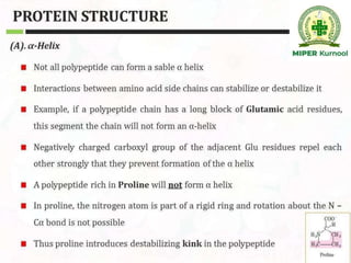 Protein structure | PPT