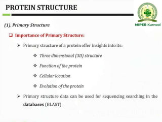 Protein structure | PPT