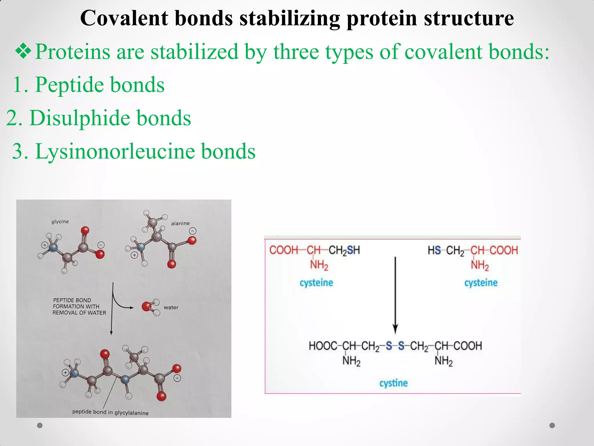 Protein structure | PDF