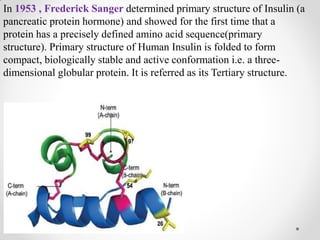 Protein structure | PDF