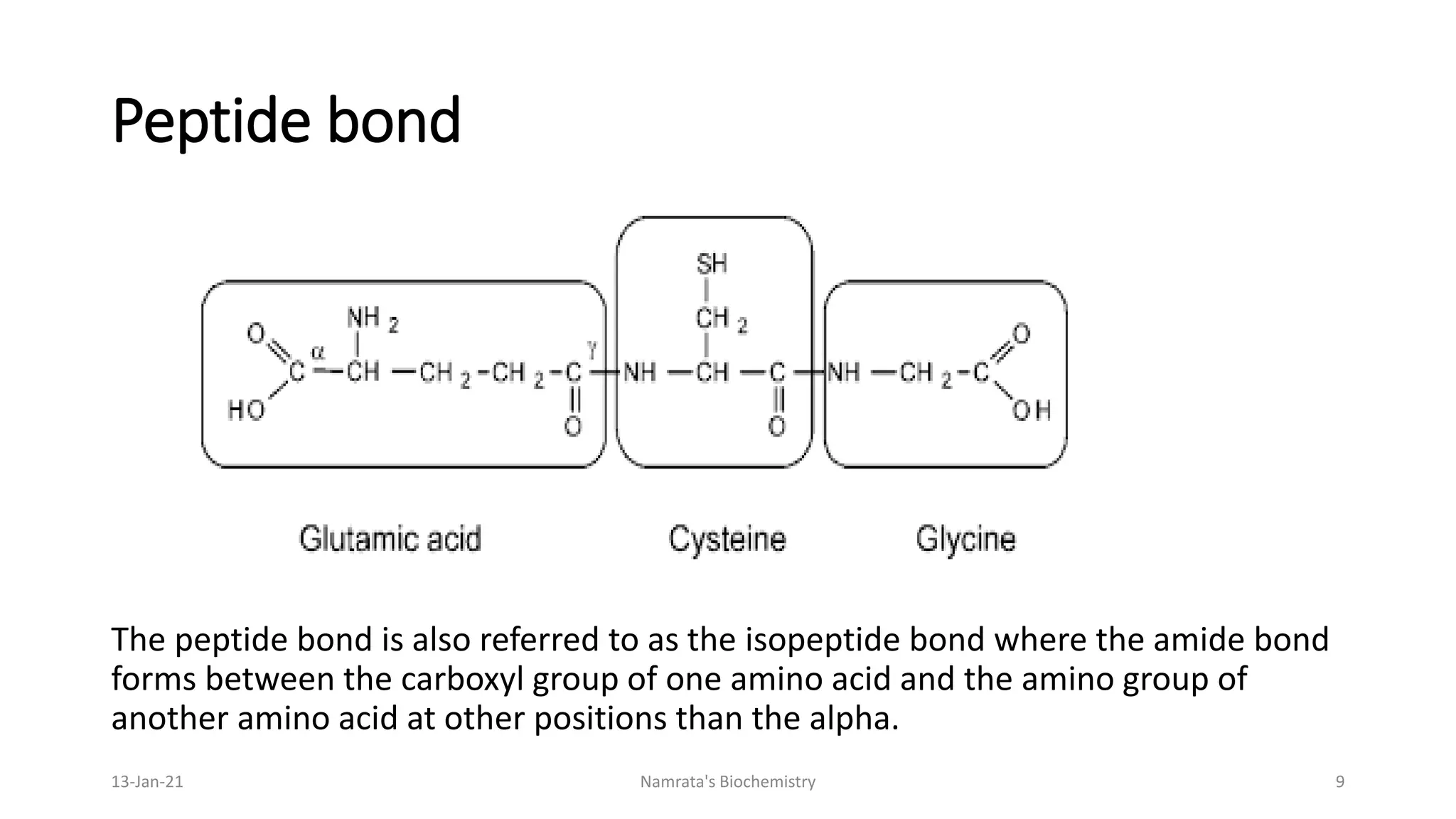 Protein structure, Protein unfolding and misfolding | PDF