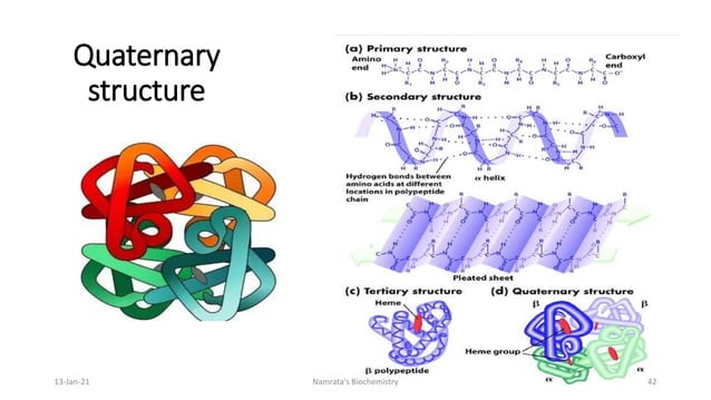 Protein structure, Protein unfolding and misfolding | PDF