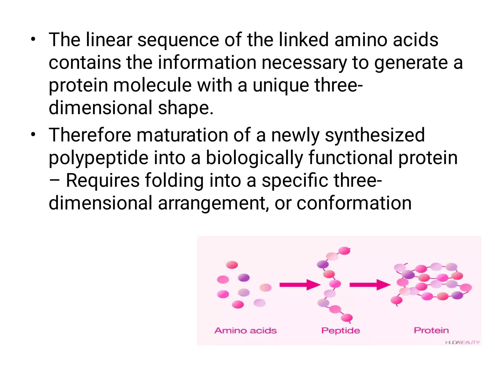 Protein structure | PDF