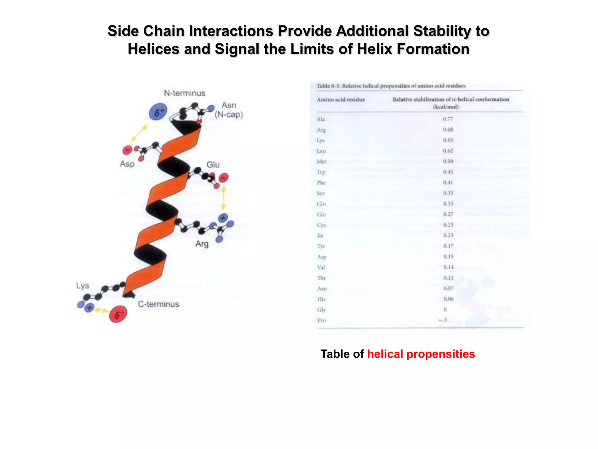 Protein structure.ppt | Chemistry | Science