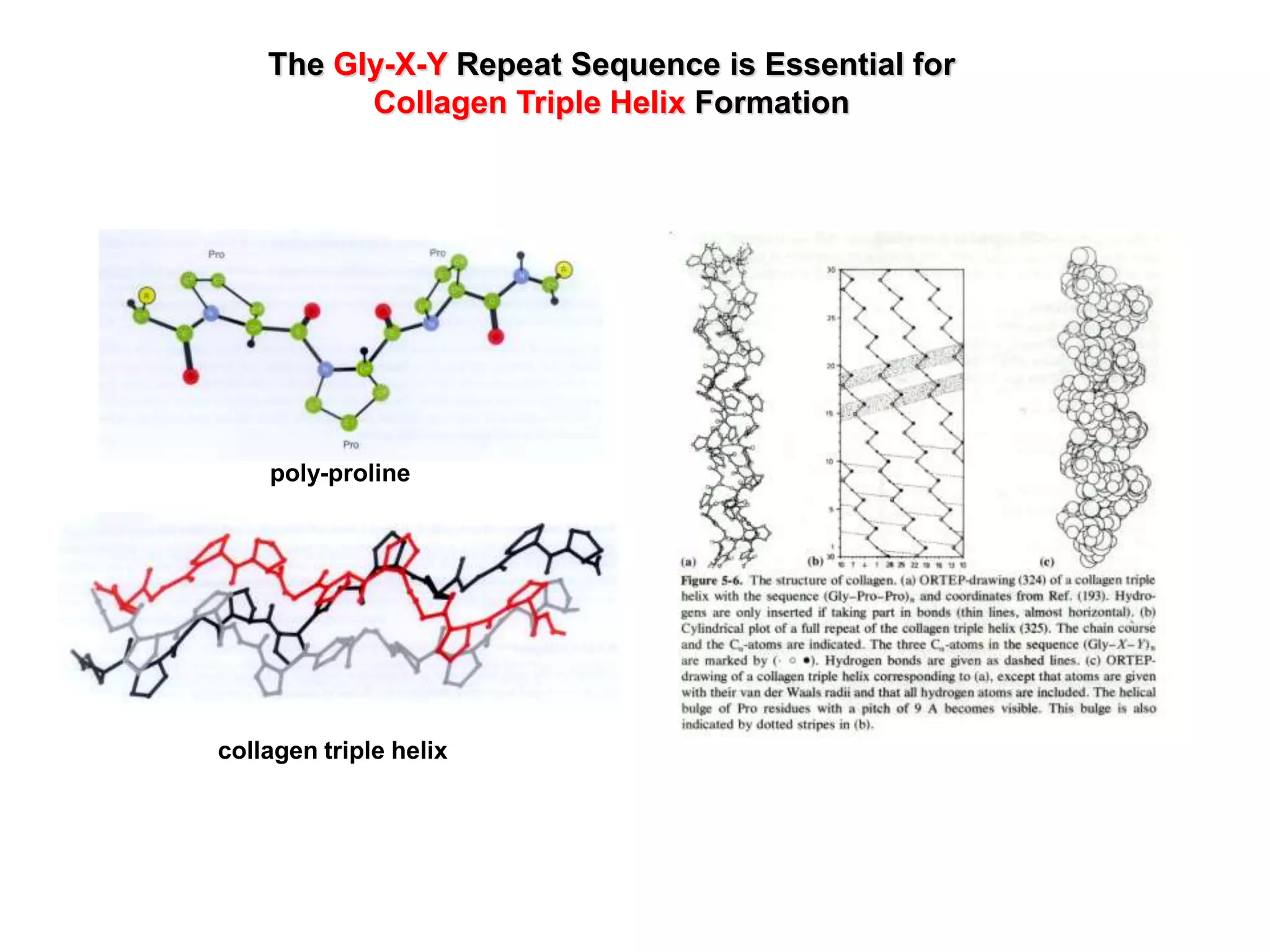 Protein structure.ppt | Chemistry | Science