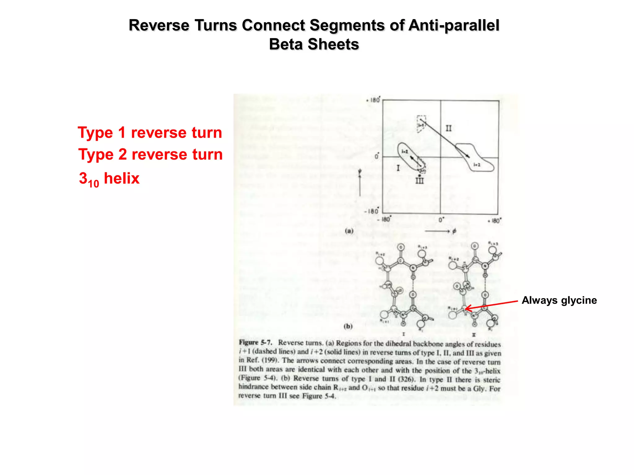 Protein structure.ppt | Chemistry | Science