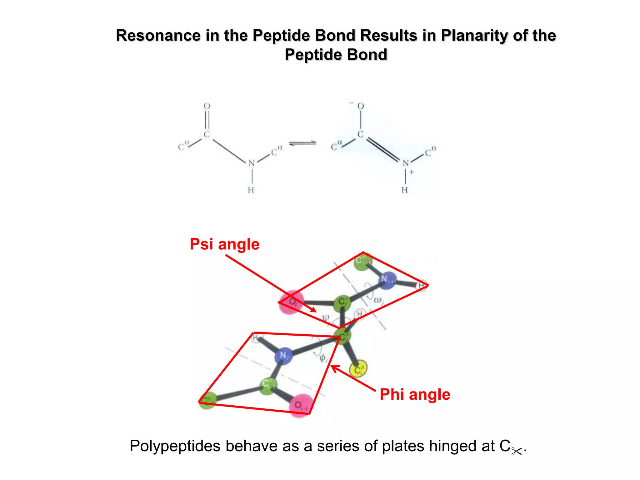 Protein structure.ppt | Chemistry | Science