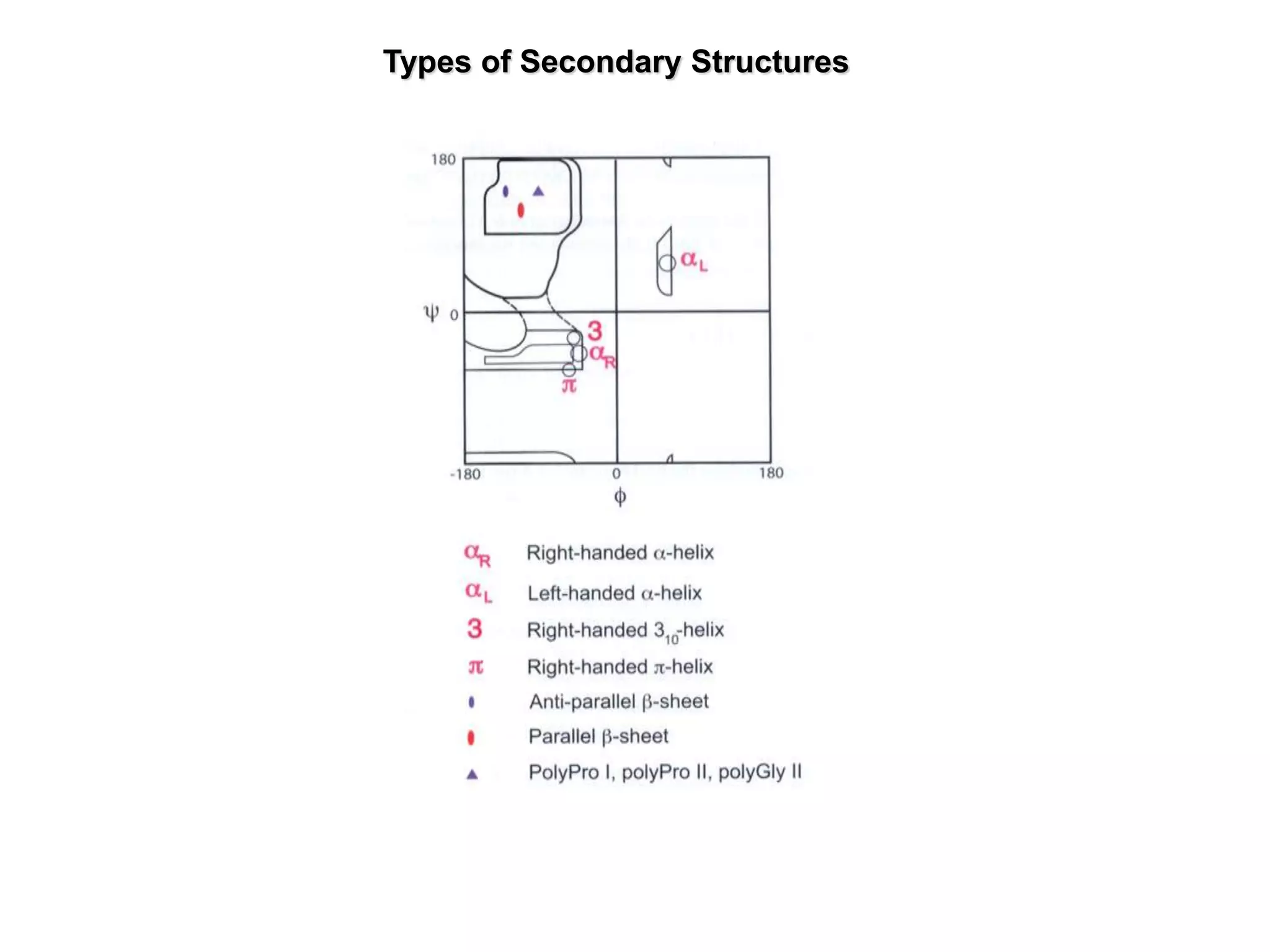 Protein structure.ppt | Chemistry | Science