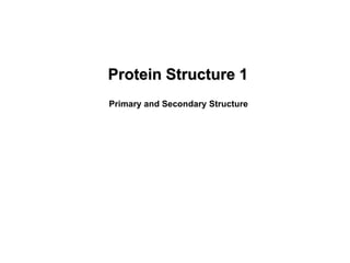 Protein structure.ppt | Chemistry | Science