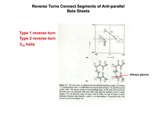 Protein structure.ppt | Chemistry | Science