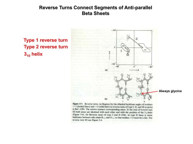 Protein structure.ppt | Chemistry | Science